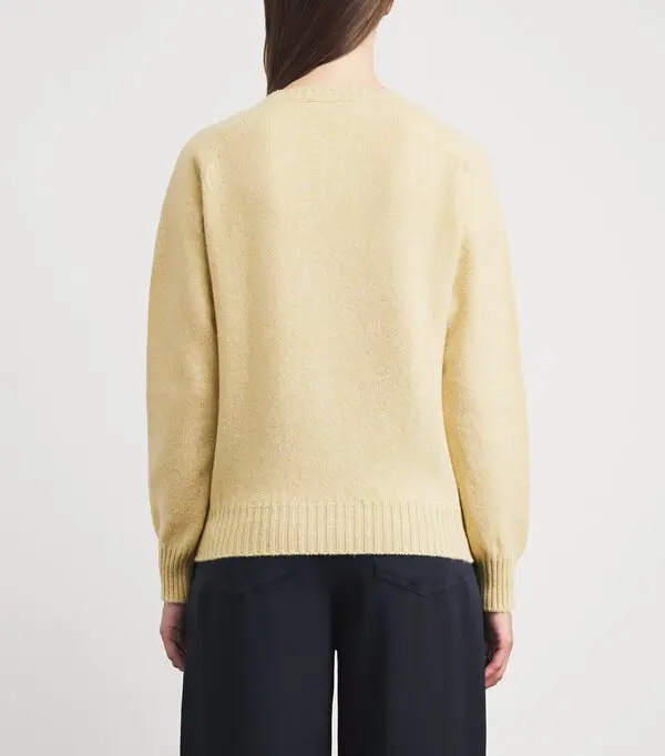 Johnstons Of Elgin Pure Lambswool Crew Neck Sweater