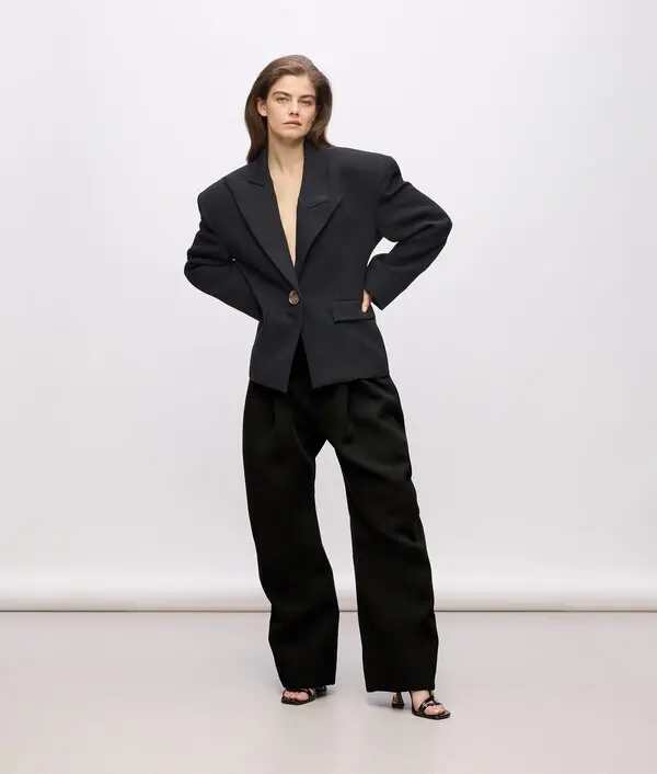 Karl Lagerfeld Studio Voluminous Wool-blend Pants