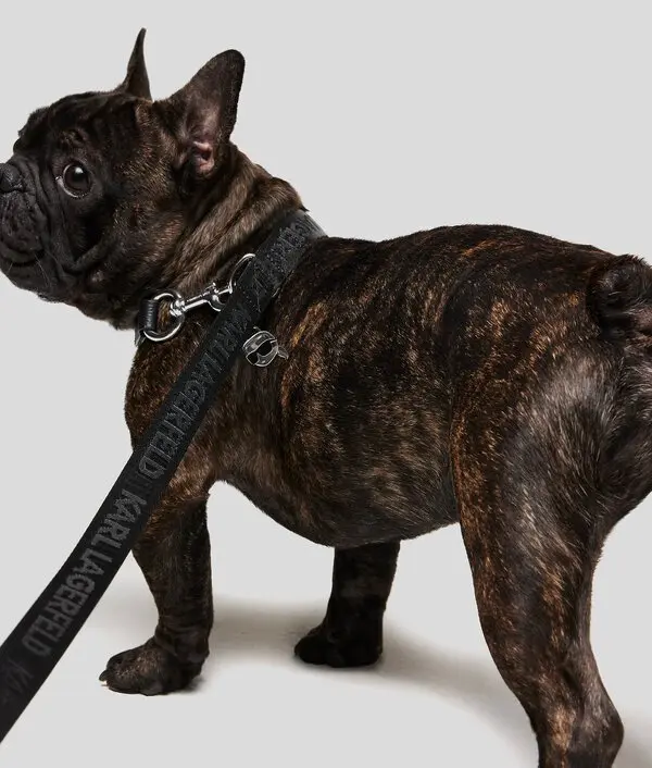 Karl Lagerfeld K/pet Leash And Pouch