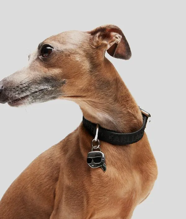Karl Lagerfeld Ikon Karl 2.0 Pet Collar