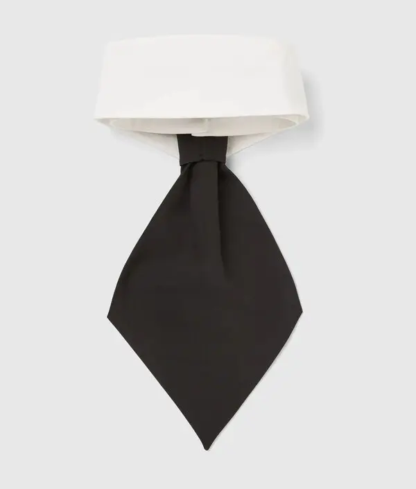 Karl Lagerfeld Decorative Collar And Tie