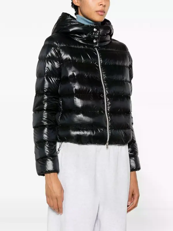 Herno Padded Hooded Coat