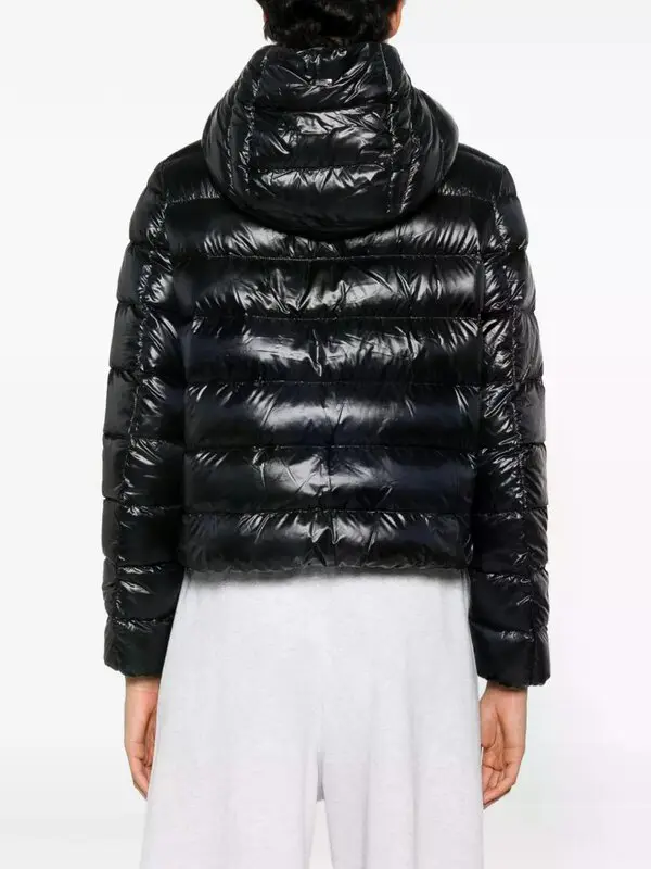 Herno Padded Hooded Coat