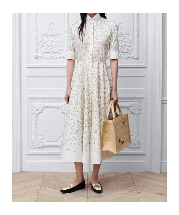 Dior Mid-length Belted Shirtdress With Hallmark Bee And Signature Print