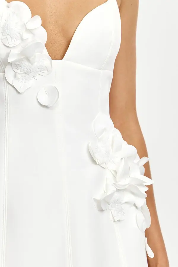 Acler Billy Mini Dress