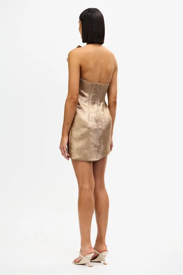 Acler Finwood Mini Dress