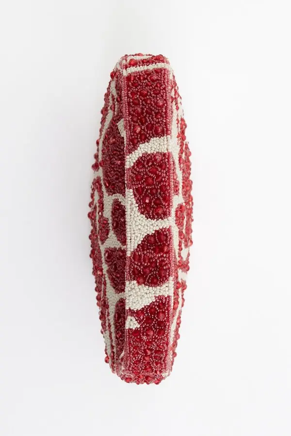 Acler Beaded Birch Bag