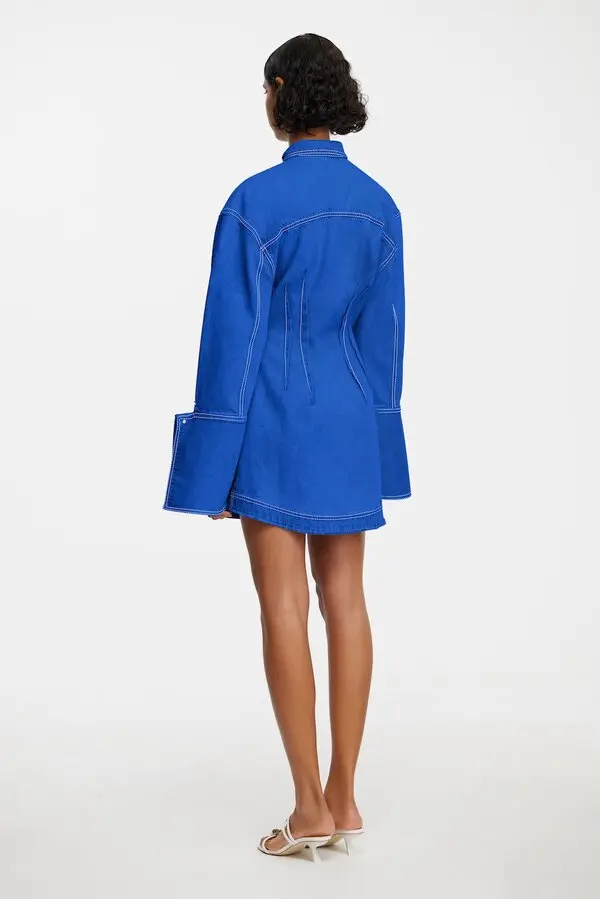 Acler Dales Mini Dress