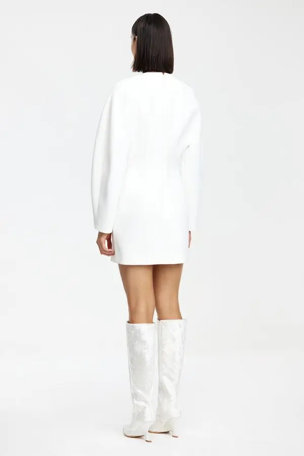 Acler Brotton Mini Dress With Gold Hardware