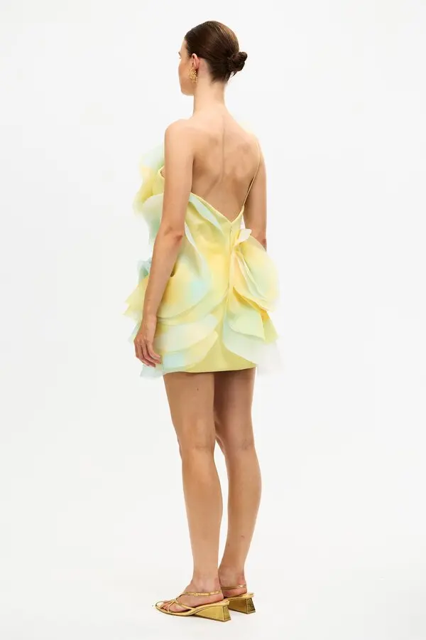 Acler Cotwall Mini Dress