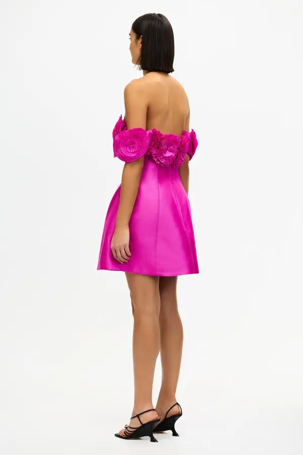 Acler Trusley Mini Dress