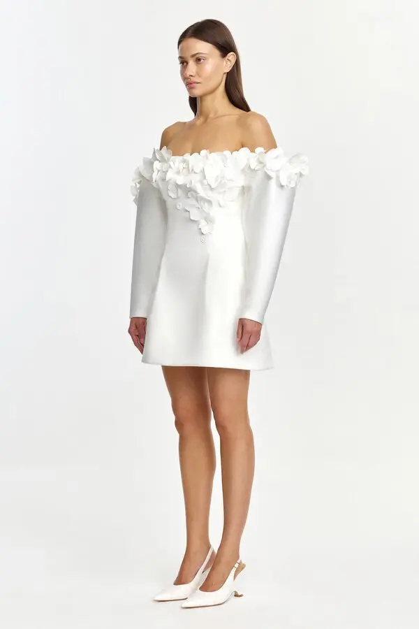 Acler Bunen Mini Dress