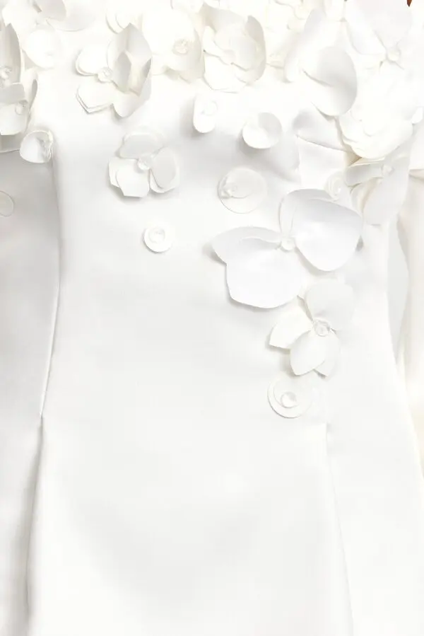 Acler Bunen Mini Dress