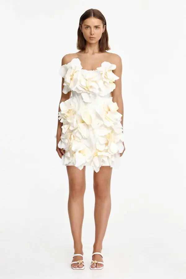 Acler Jackhill Mini Dress