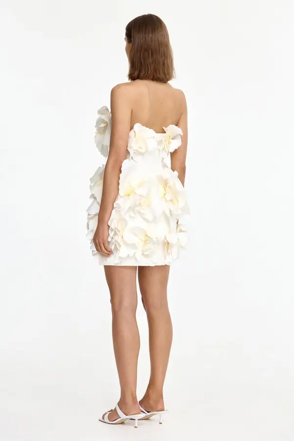 Acler Jackhill Mini Dress