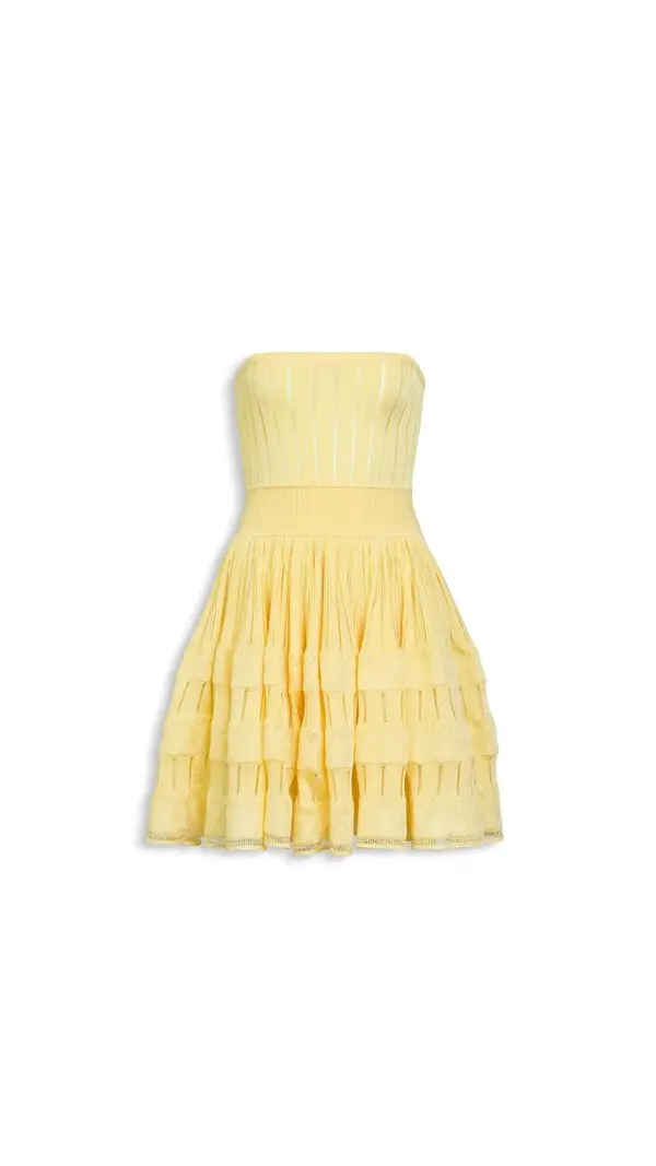 Alaïa Knitted Dress