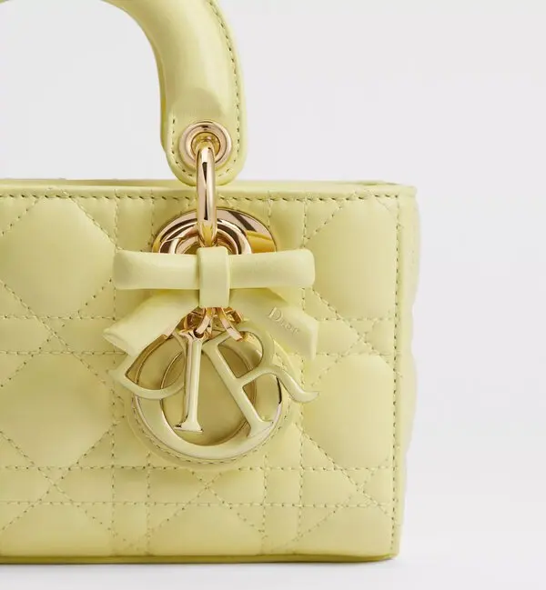 Dior Mini Lady D-joy Bag