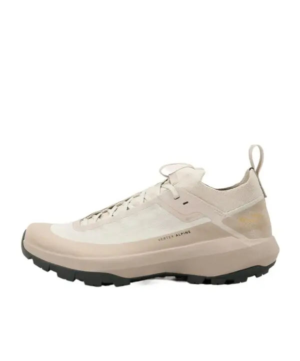 Arc'teryx Vertex Alpine Gtx Approach Shoe
