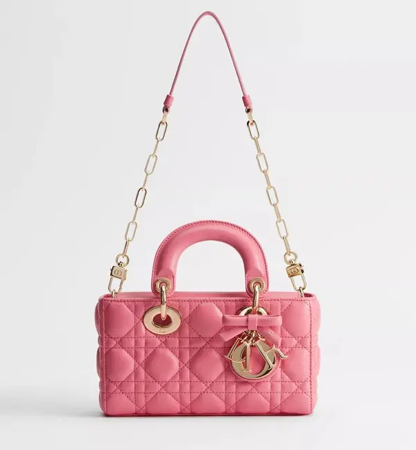 Dior Mini Lady D-joy Bag