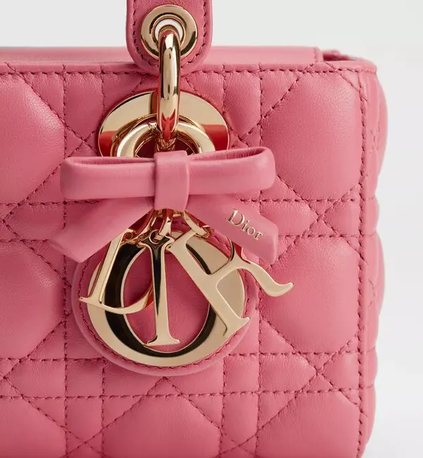 Dior Mini Lady D-joy Bag