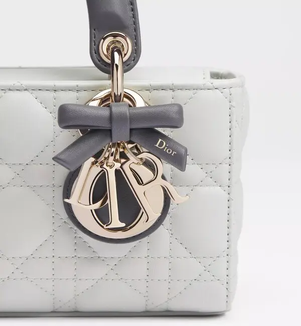 Dior Mini Lady D-joy Bag