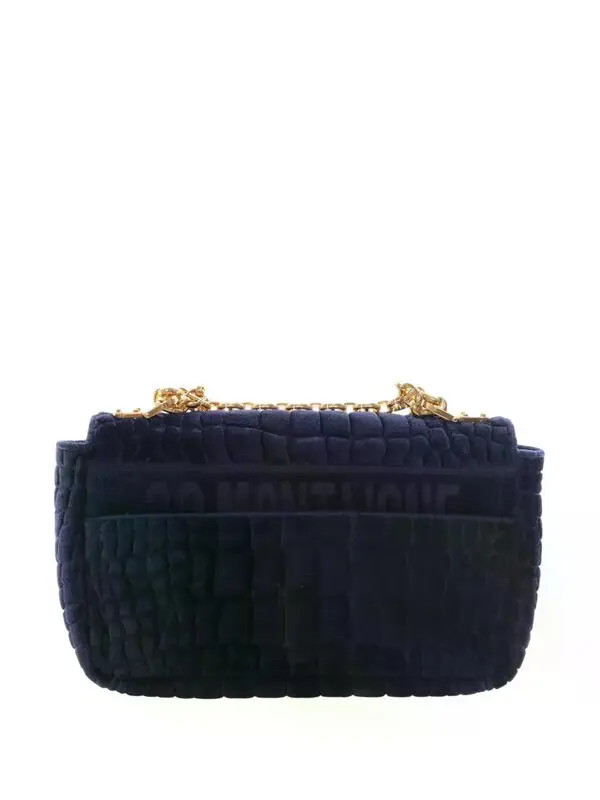 Dior Large Embroidered Velvet Caro Bag - Blue