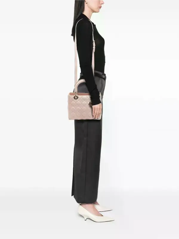 Dior Lambskin Lady Satchel
