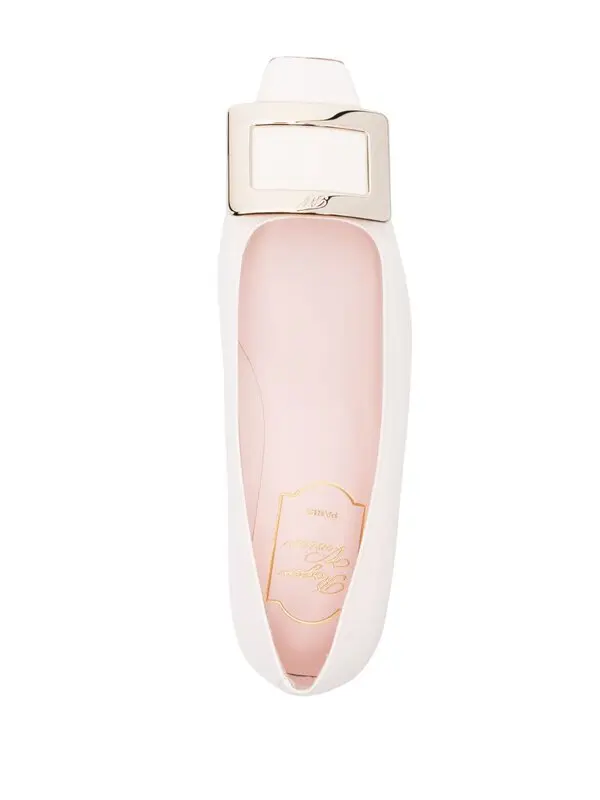 ROGER VIVIER Belle Vivier Leather Ballets