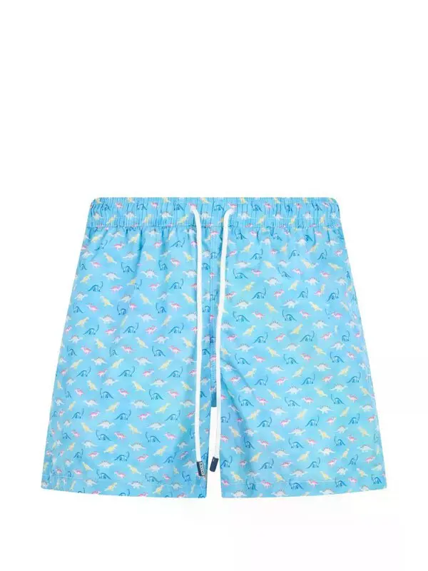 Fedeli Printed Swim Shorts - Blue