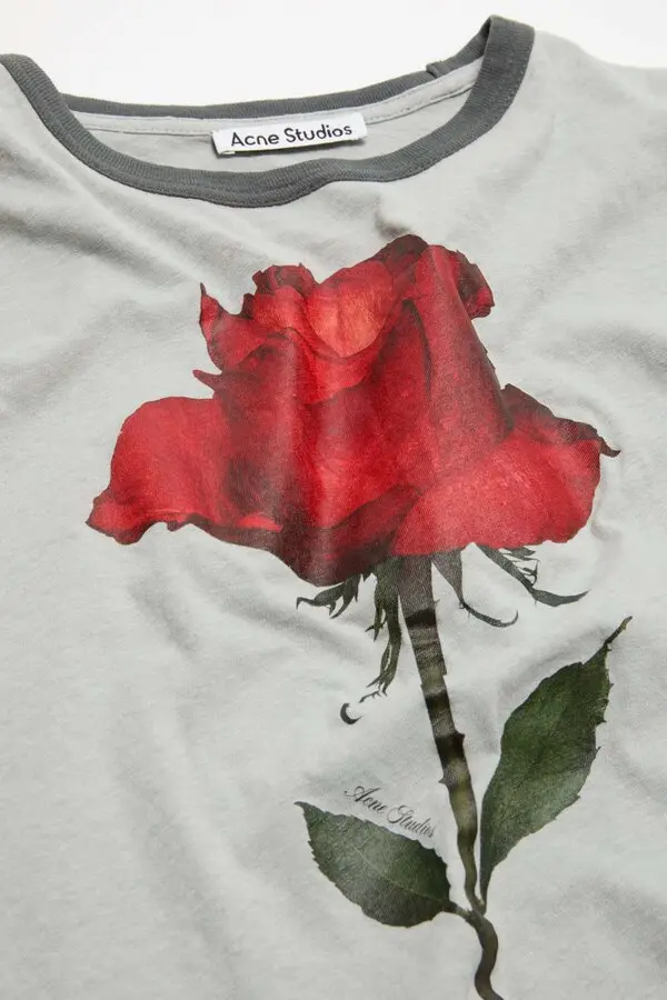 Acne Studios Rose Print Ringer T-shirt - Gray/red