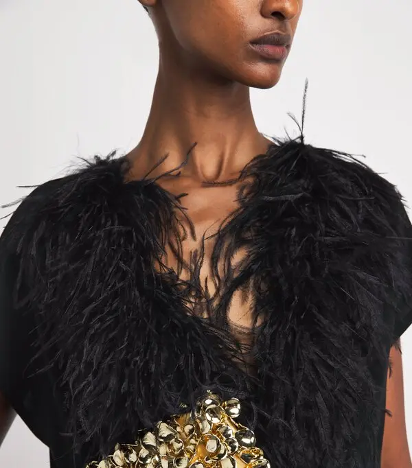 Lapointe Feather-embellished Gathered Gown