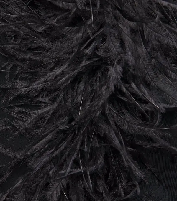 Lapointe Feather-embellished Gathered Gown