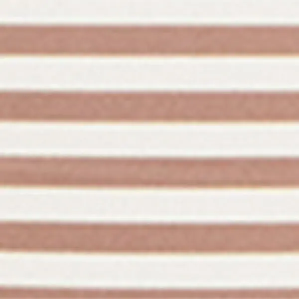 Brunello Cucinelli Striped Side-tie Bikini Bottoms