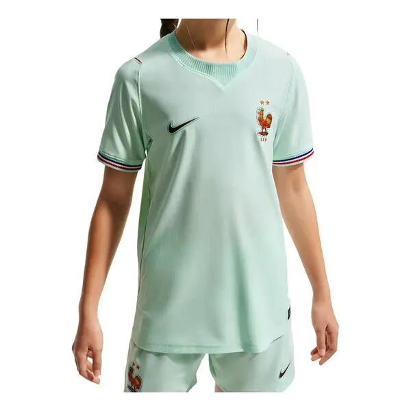 Nike France National Team 2026 Stadium Away Dri-fit Soccer Jersey - Igloo/monarch