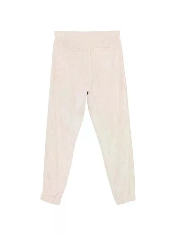 D.exterior Ribbed Corduroy Trousers