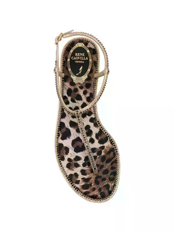 Rene Caovilla Crystal-embellished Leopard-print Sandals
