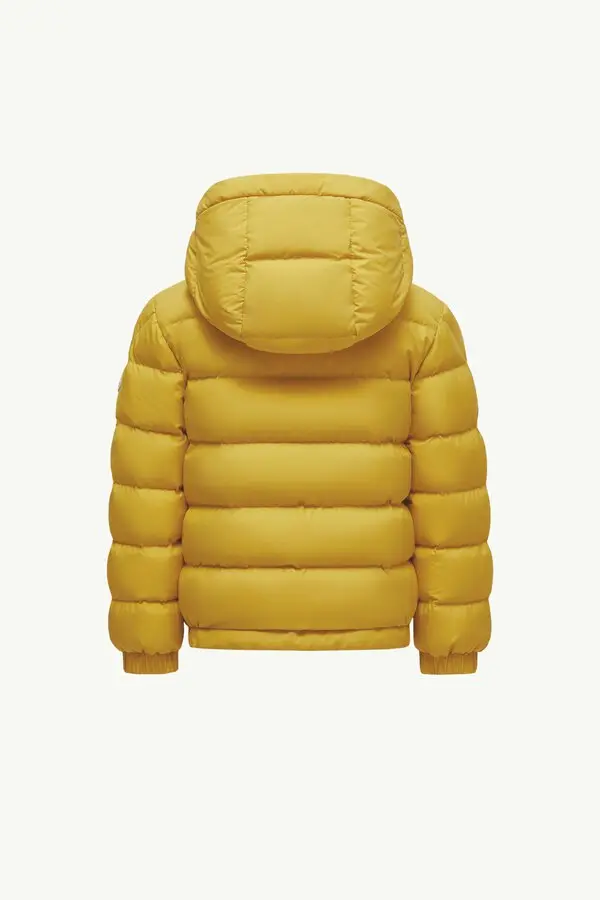 Moncler Grecois Hooded Down Jacket