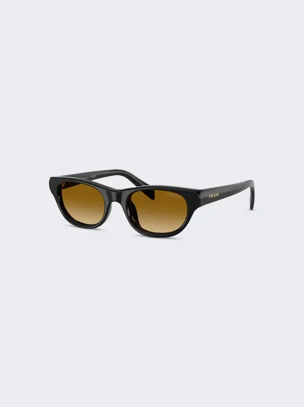 Prada Acetate Sunglasses