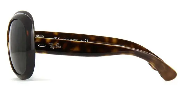 Ray-ban Butterfly Frame Sunglasses