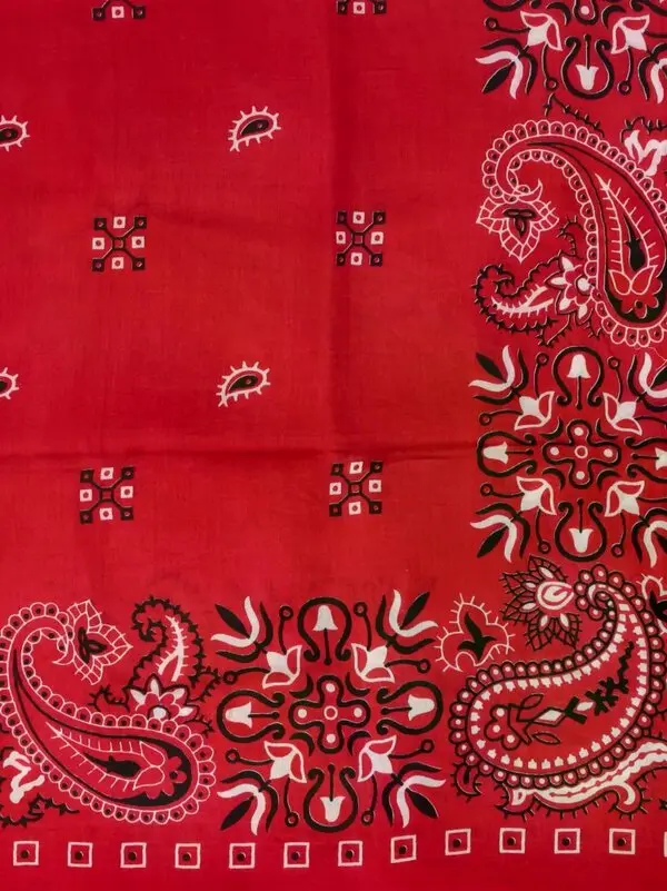 Manipuri Bandana-print Frayed Scarf