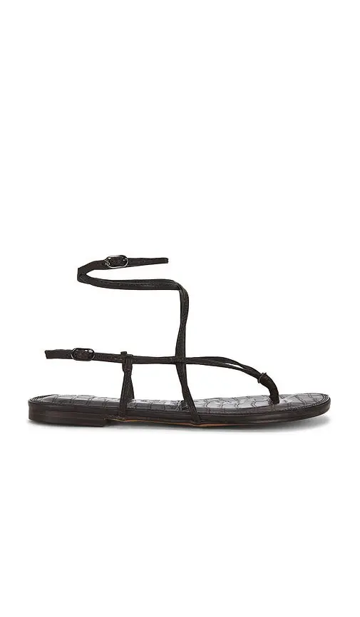Sam Edelman Clarra Strappy Sandal - Chocolate
