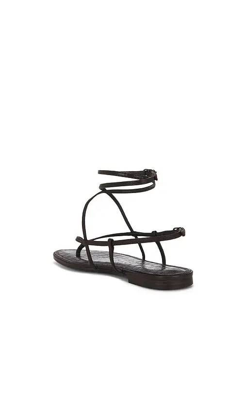 Sam Edelman Clarra Strappy Sandal - Chocolate