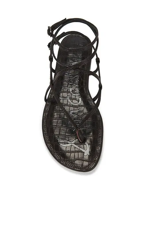 Sam Edelman Clarra Strappy Sandal - Chocolate