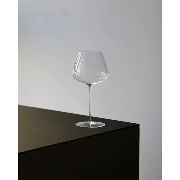 LUIGI BORMIOLI Sapienta Burgundy Glasses, Set Of 2 - Clear