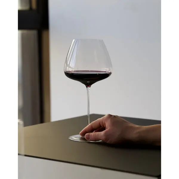 LUIGI BORMIOLI Sapienta Burgundy Glasses, Set Of 2