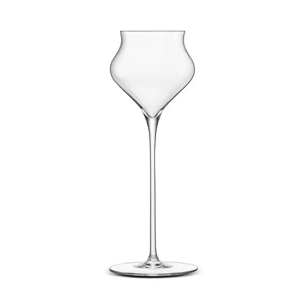 LUIGI BORMIOLI Sapienta Spirits Glasses, Set Of 2 - Clear
