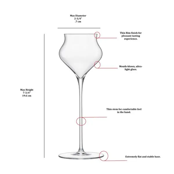 LUIGI BORMIOLI Sapienta Spirits Glasses, Set Of 2