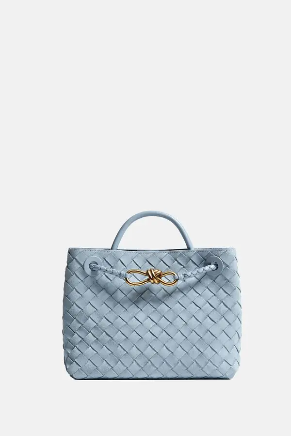 Bottega Veneta Small Andiamo Bag - Multicolor