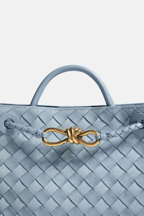 Bottega Veneta Small Andiamo Bag