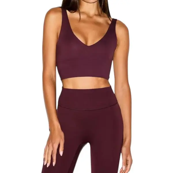 Nike X Skims Matte V-neck Bra